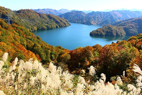 【地域おこし協力隊｜福島県只見町】エコツーリズム推進協力隊募集！ ｜地域のトピックス｜FURUSATO